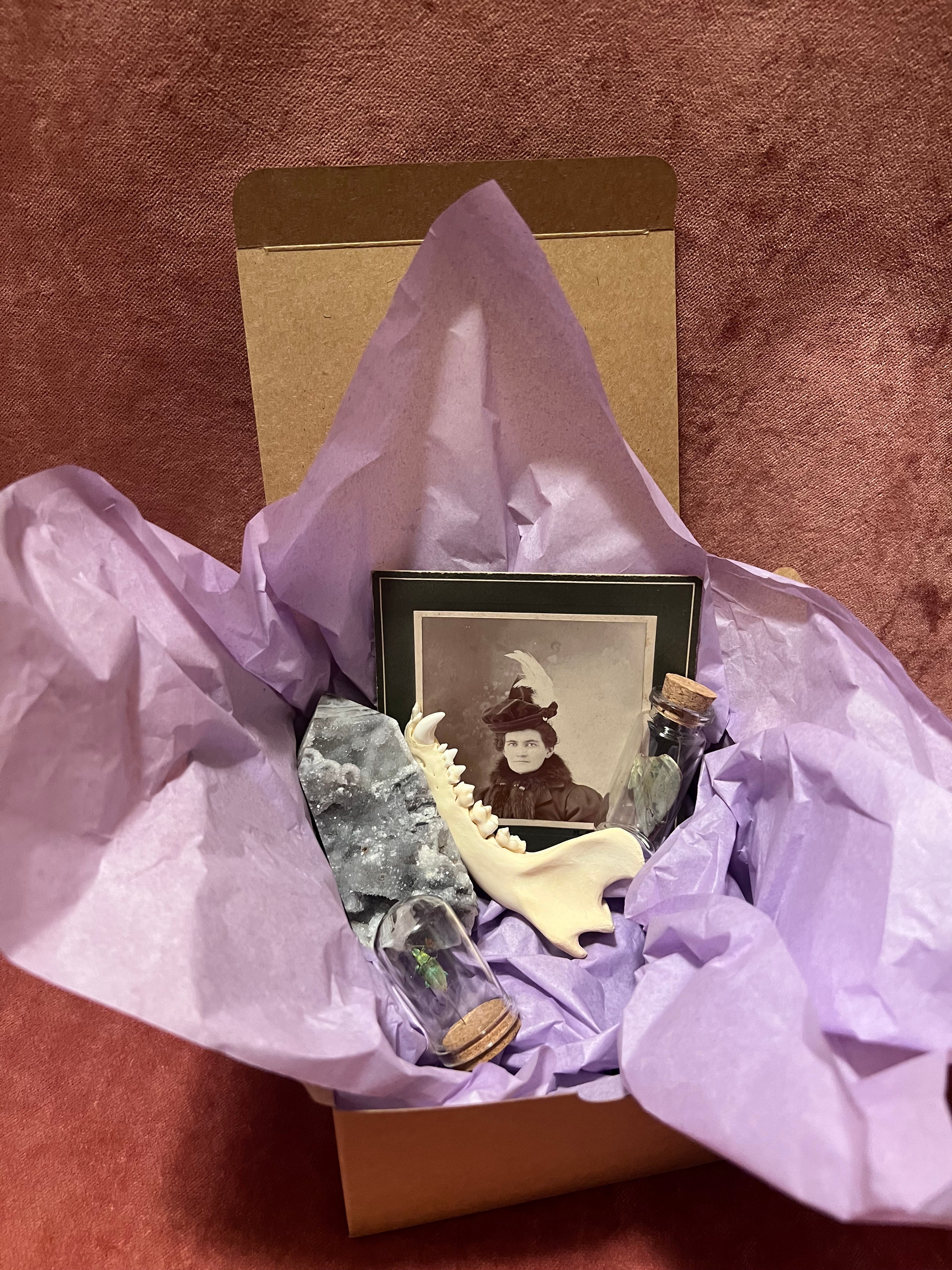 Mystery Gift Bundles – Wildflower Oddities